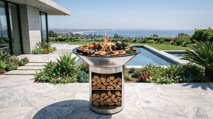 Mastering Plancha Grilling: The Ultimate Guide to Flat-Top BBQ ...